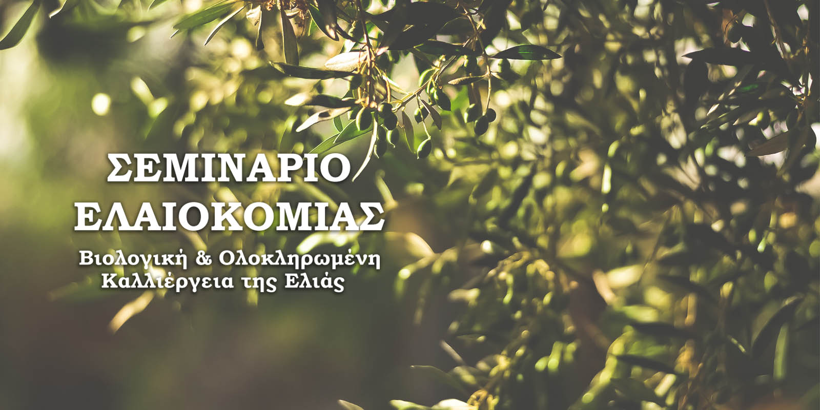 Ελαιοκομία με Έμφαση στην Βιολογική Καλλιέργεια - IEK Praxis